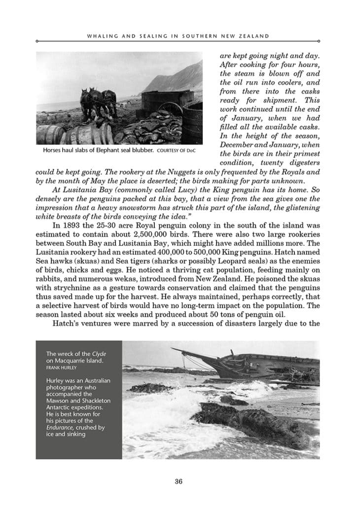 Whaling and Sealing in Southern New Zealand "-" Craigs Design and Print