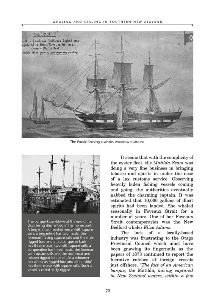 Whaling and Sealing in Southern New Zealand "-" Craigs Design and Print